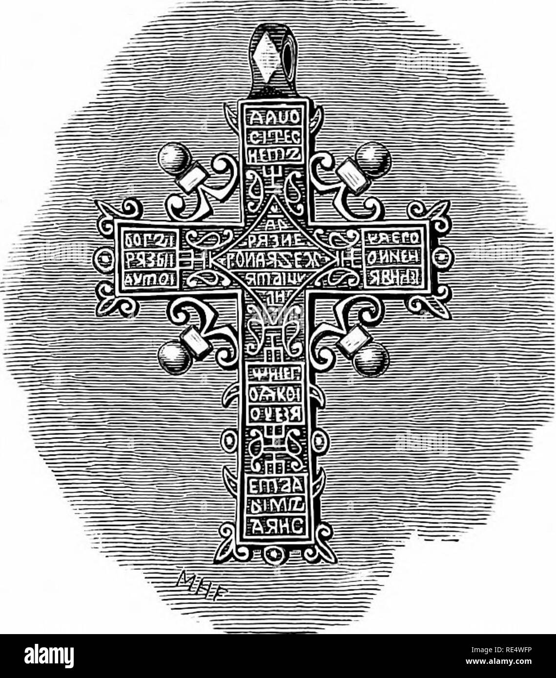 Elongated hind claw hi-res stock photography and images - Alamy