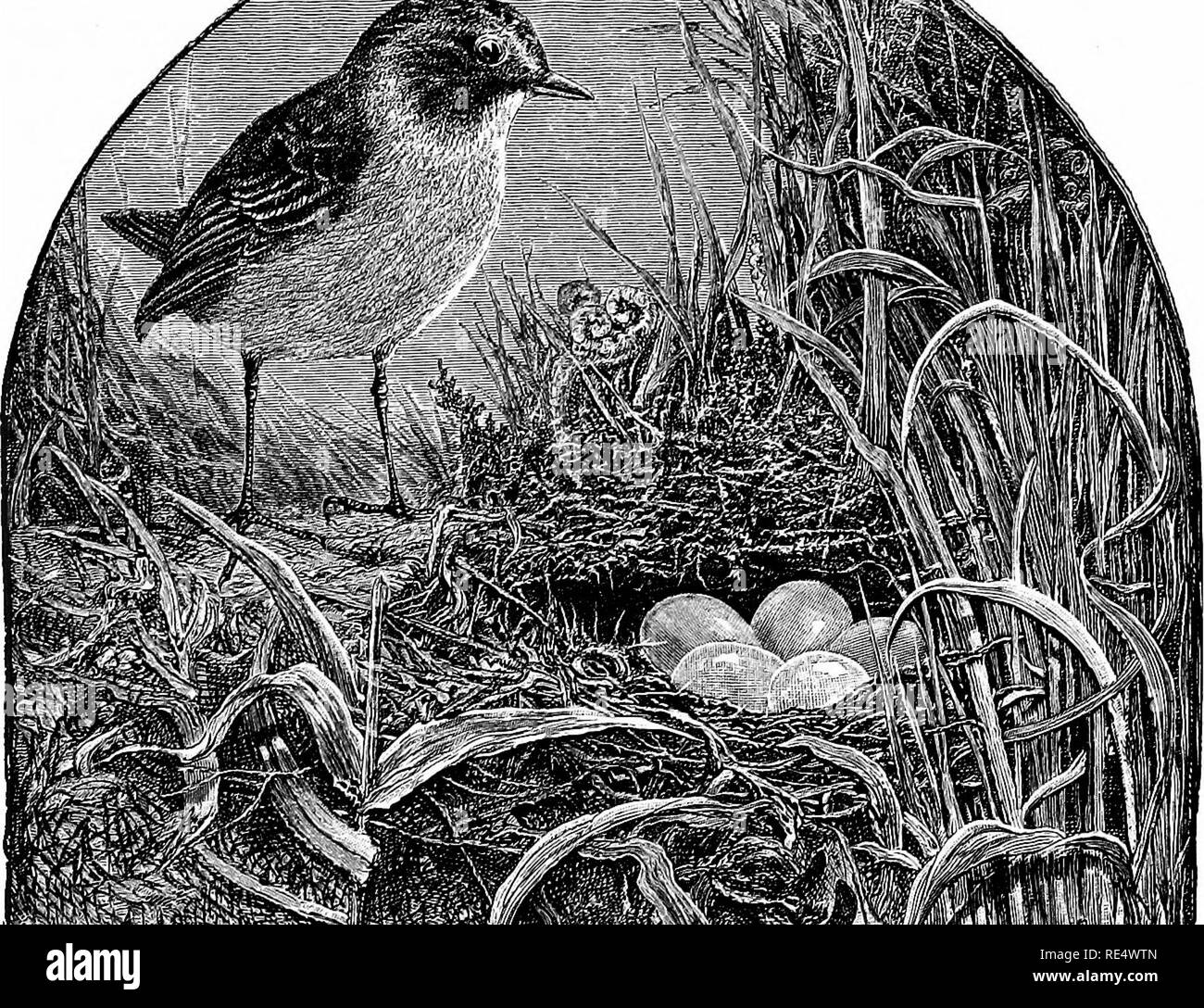 Archipelago of the marquesas islands hi-res stock photography and ...