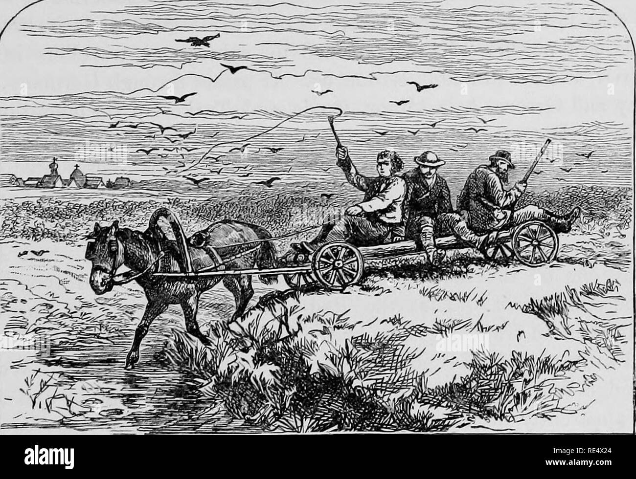 Breed descriptions Black and White Stock Photos & Images - Alamy