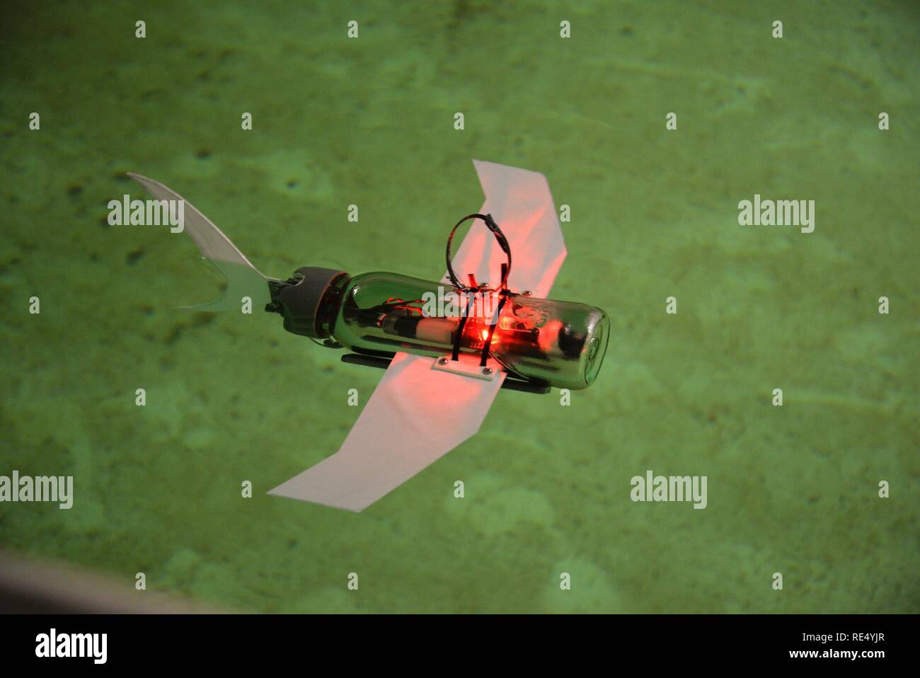 Seaglide hi-res stock photography and images - Alamy