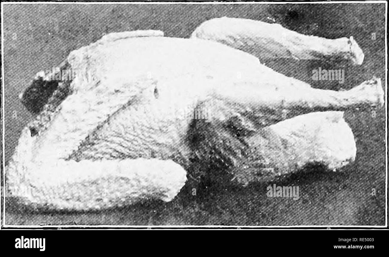 Private trade recipes hi-res stock photography and images - Alamy