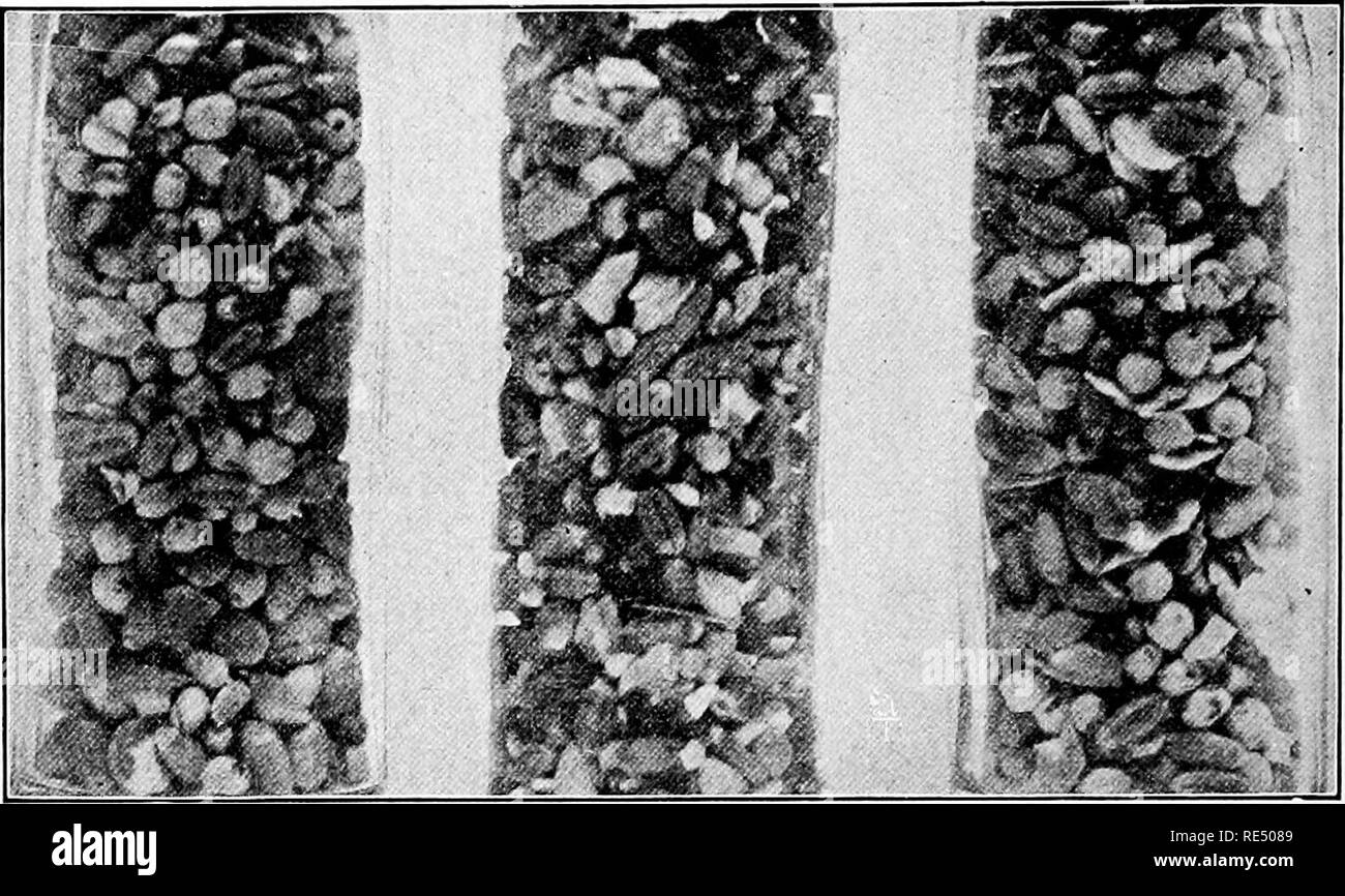 28 grams Black and White Stock Photos & Images - Alamy