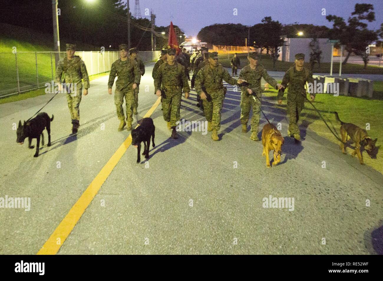 Military working dogs and their handlers walk alongside Col. Robert ...
