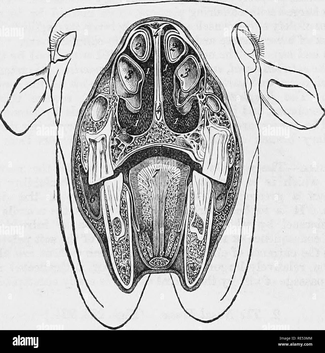 Irregular columns Black and White Stock Photos & Images - Alamy