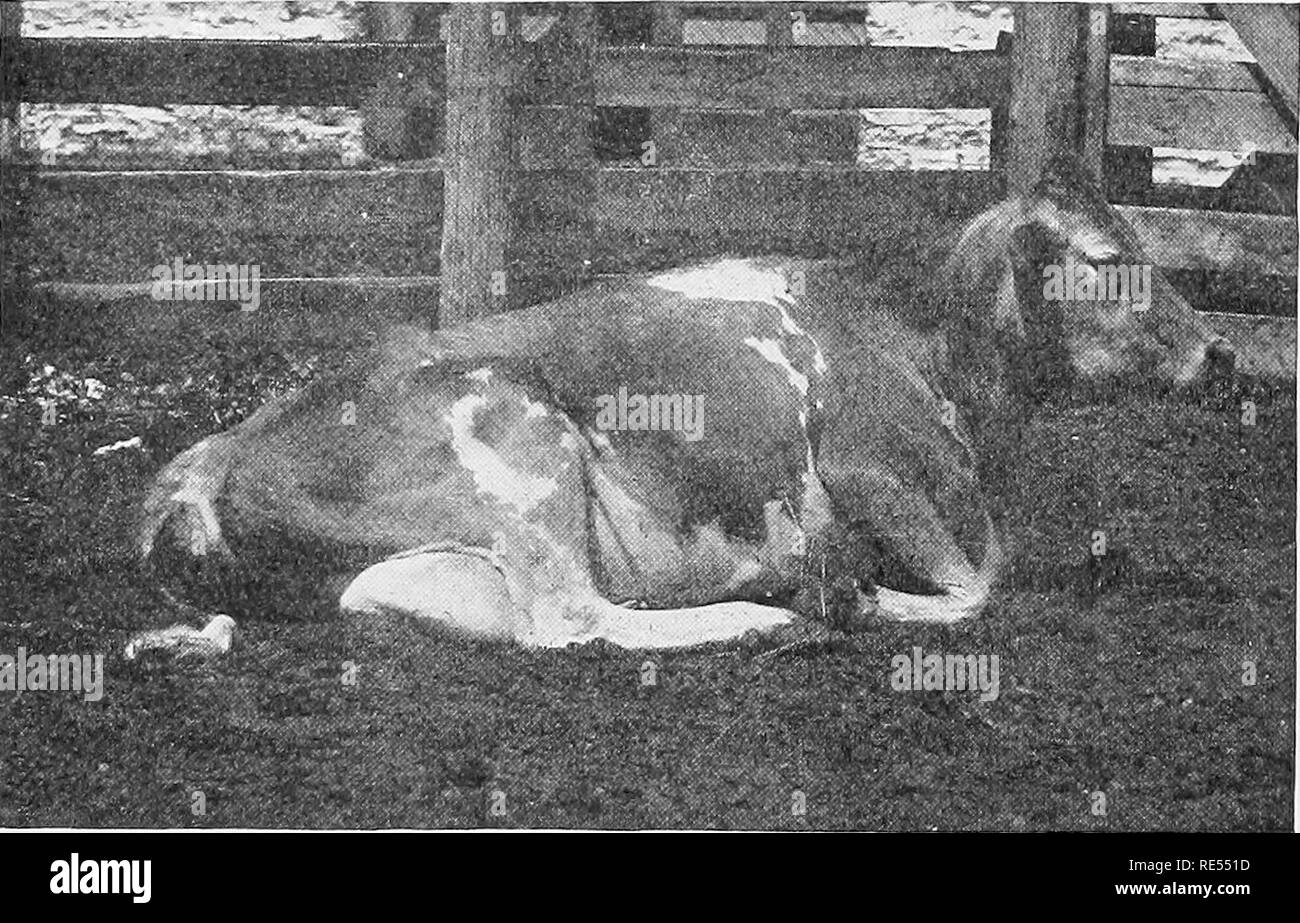 . Veterinary studies for agricultural students. Veterinary medicine ...