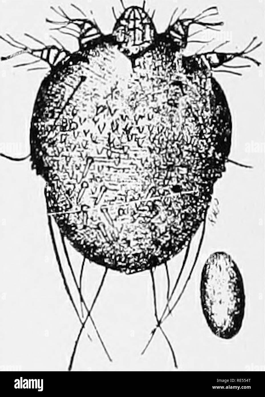 Scabs skin Black and White Stock Photos & Images - Alamy