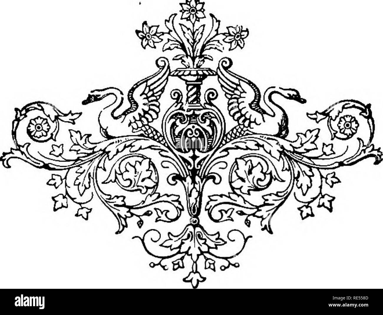 Ox shoe Black and White Stock Photos & Images - Alamy