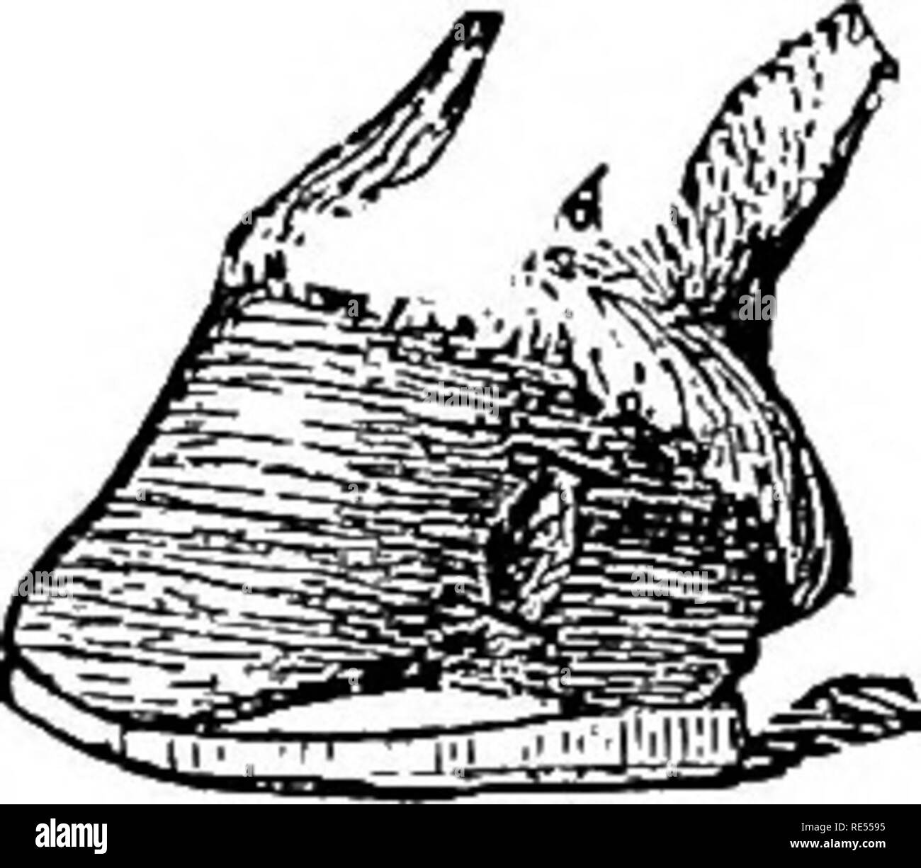 Ox shoe Black and White Stock Photos & Images - Alamy