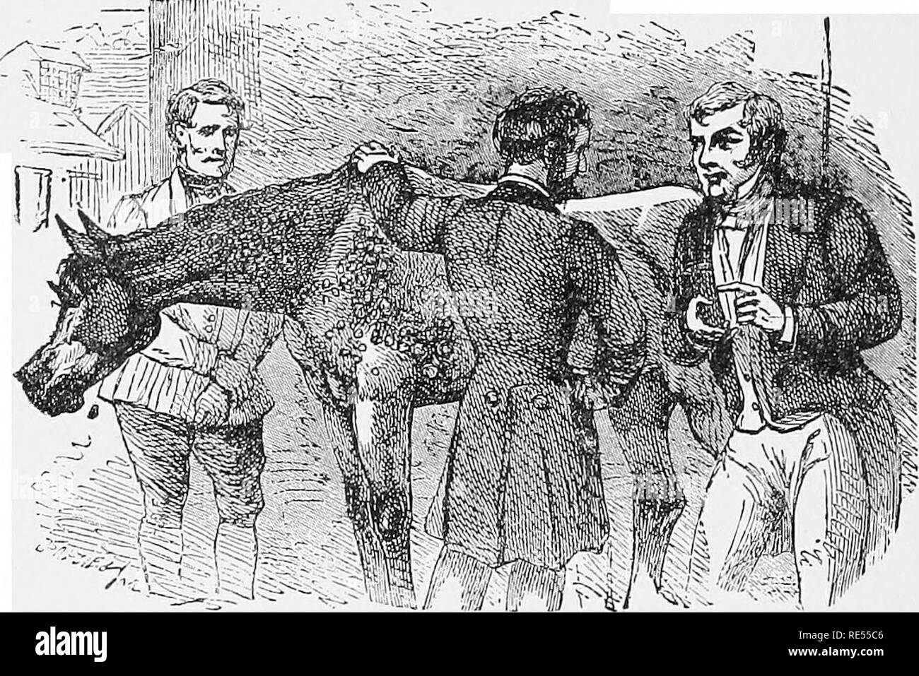 . The homœopathic veterinary doctor, giving the history, means of ...