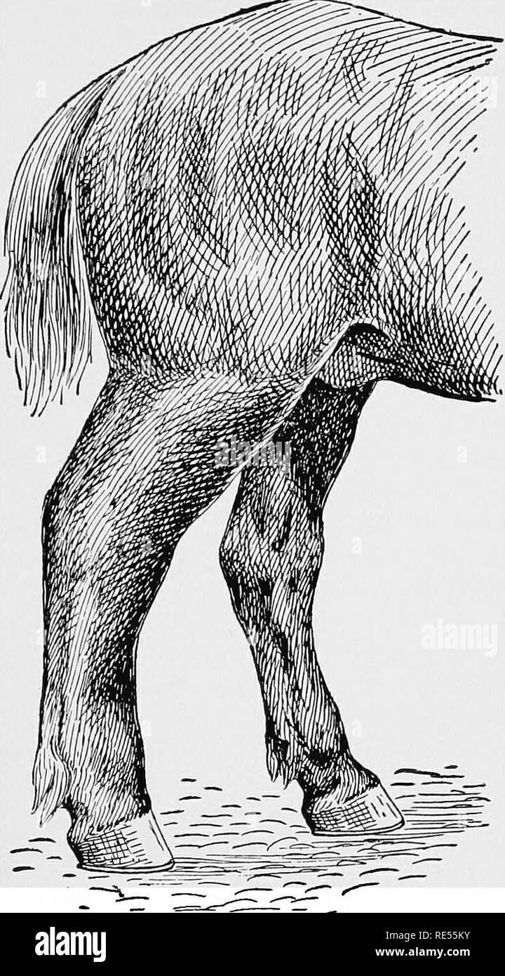 Plethoric Black and White Stock Photos & Images - Alamy