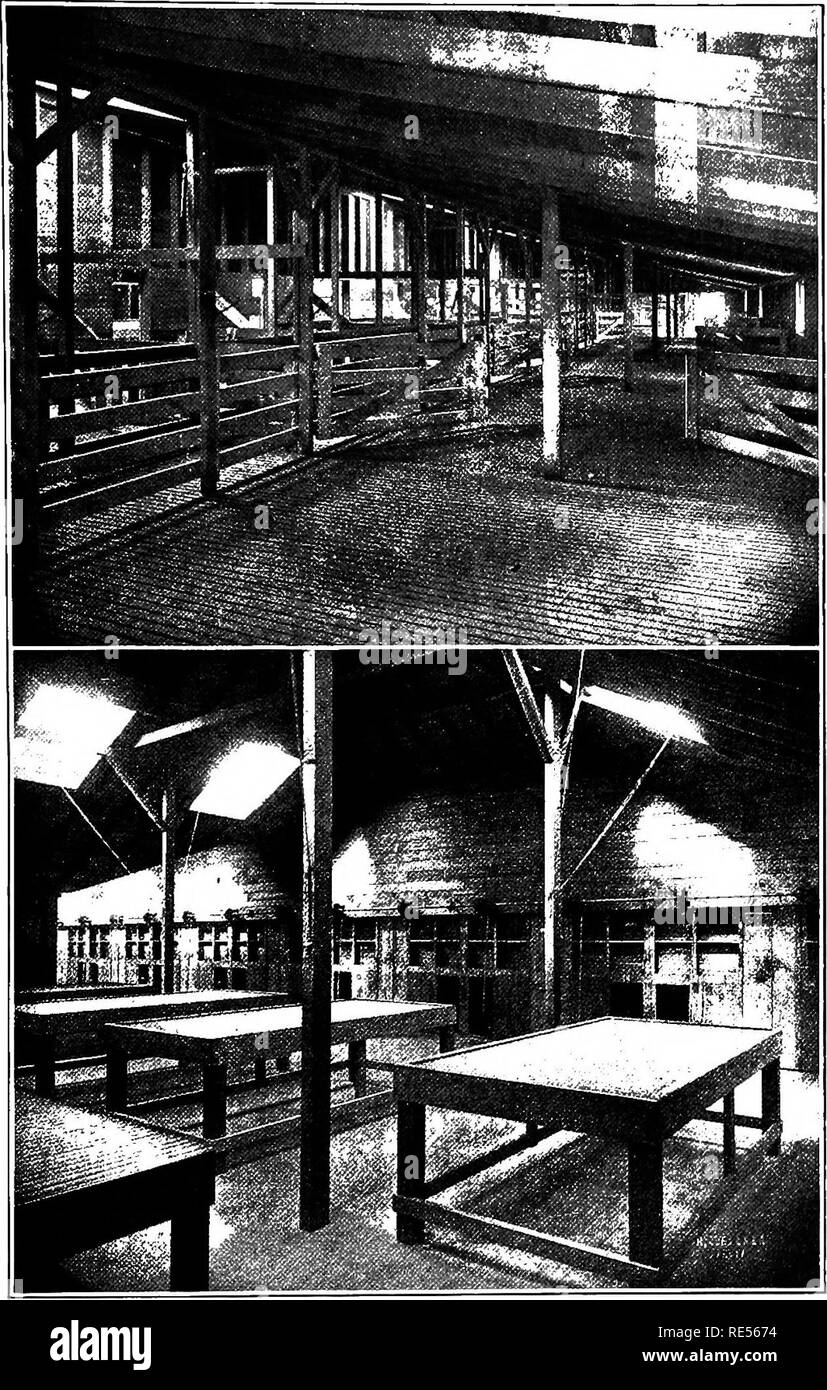 Australian pens Black and White Stock Photos & Images - Alamy