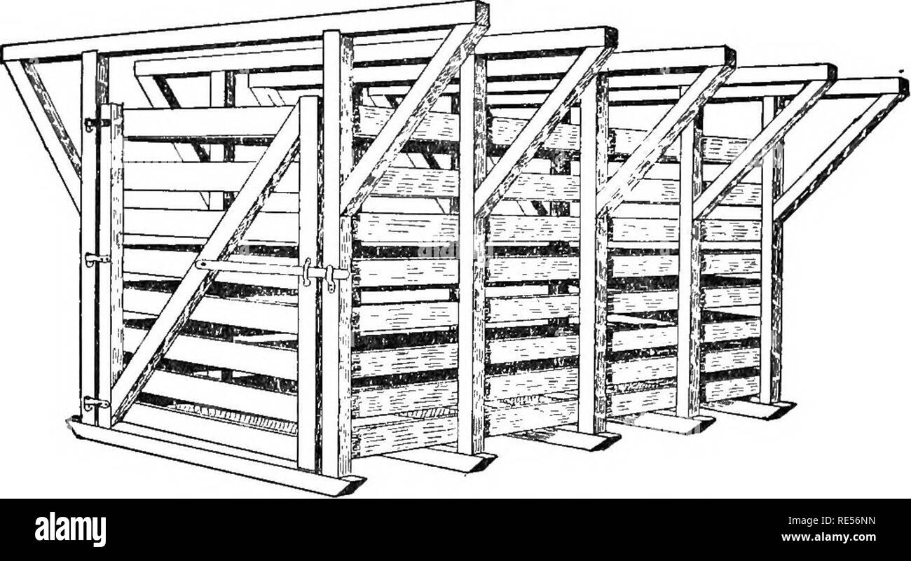 Weighing scales for livestock Black and White Stock Photos & Images - Alamy