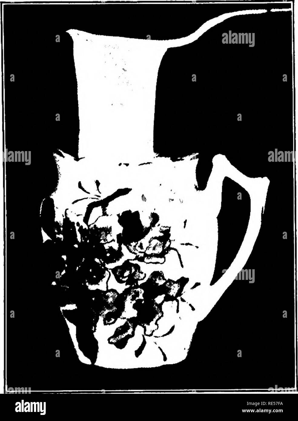 . Pure milk and the public health; a manual of milk and dairy ...