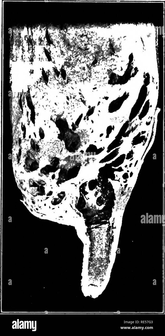 . Pure milk and the public health; a manual of milk and dairy ...