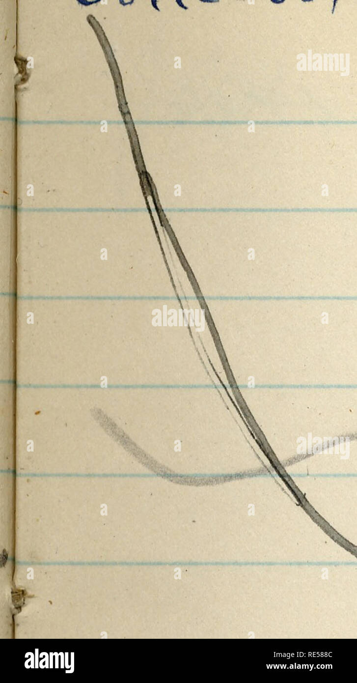 . Joseph R. Slevin Galapagos expedition journal and collecting ...