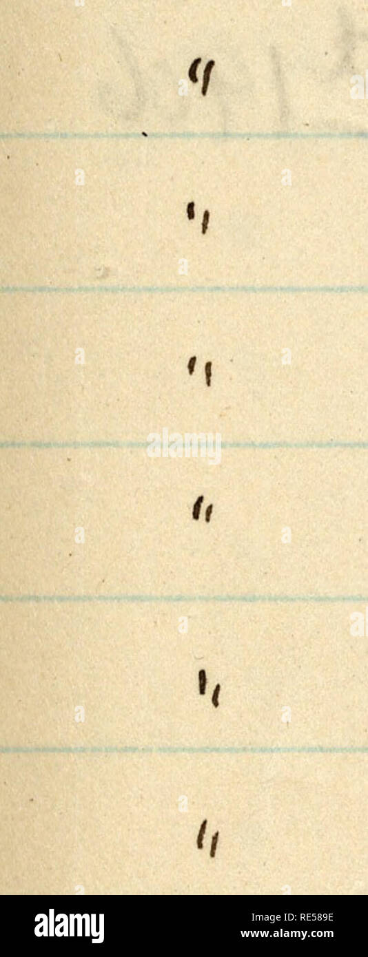 . Joseph R. Slevin Galapagos expedition journal and collecting ...