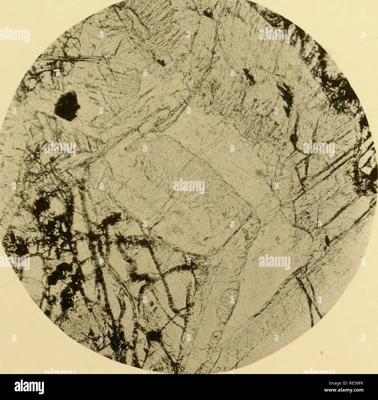 Crossed Nicols High Resolution Stock Photography and Images - Alamy