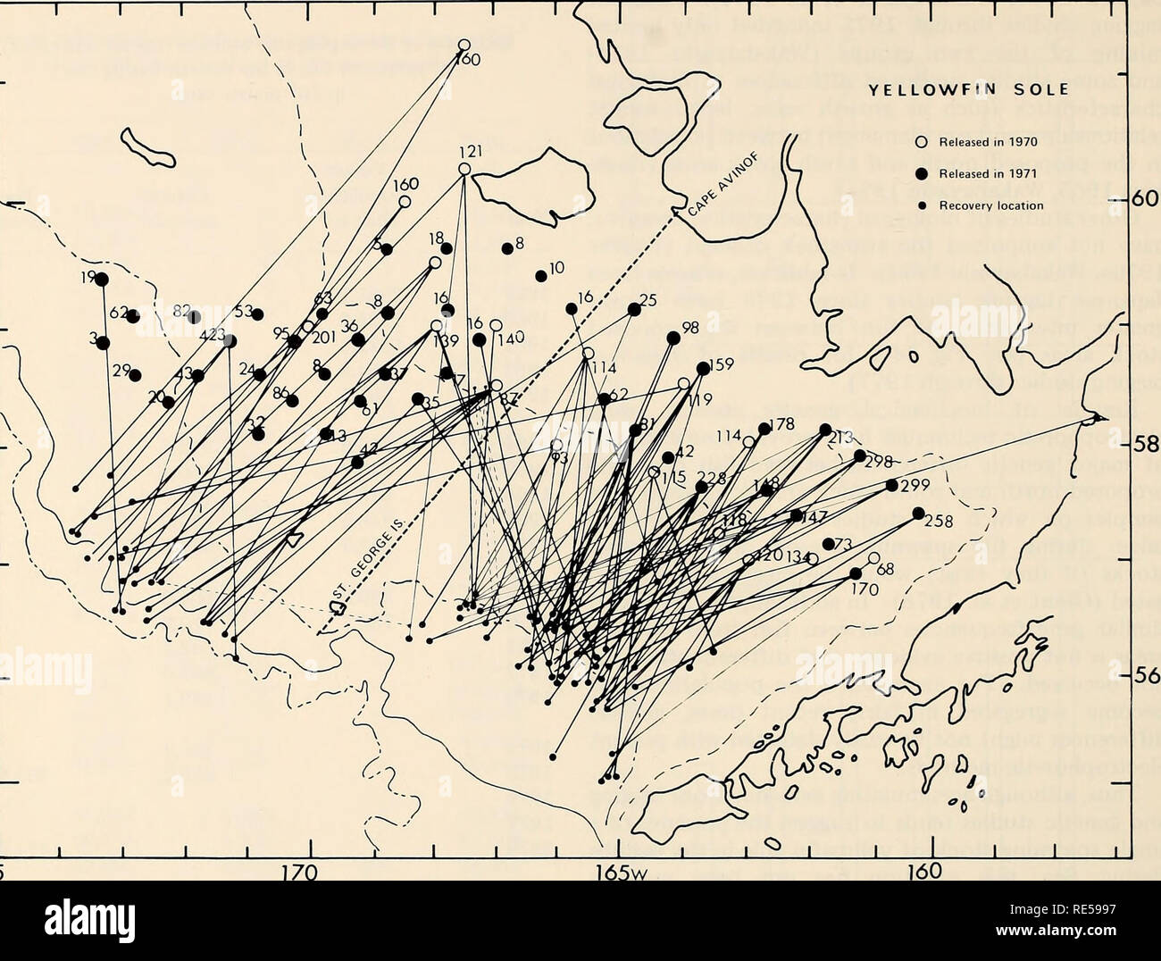 Wakabayashi hi-res stock photography and images - Alamy