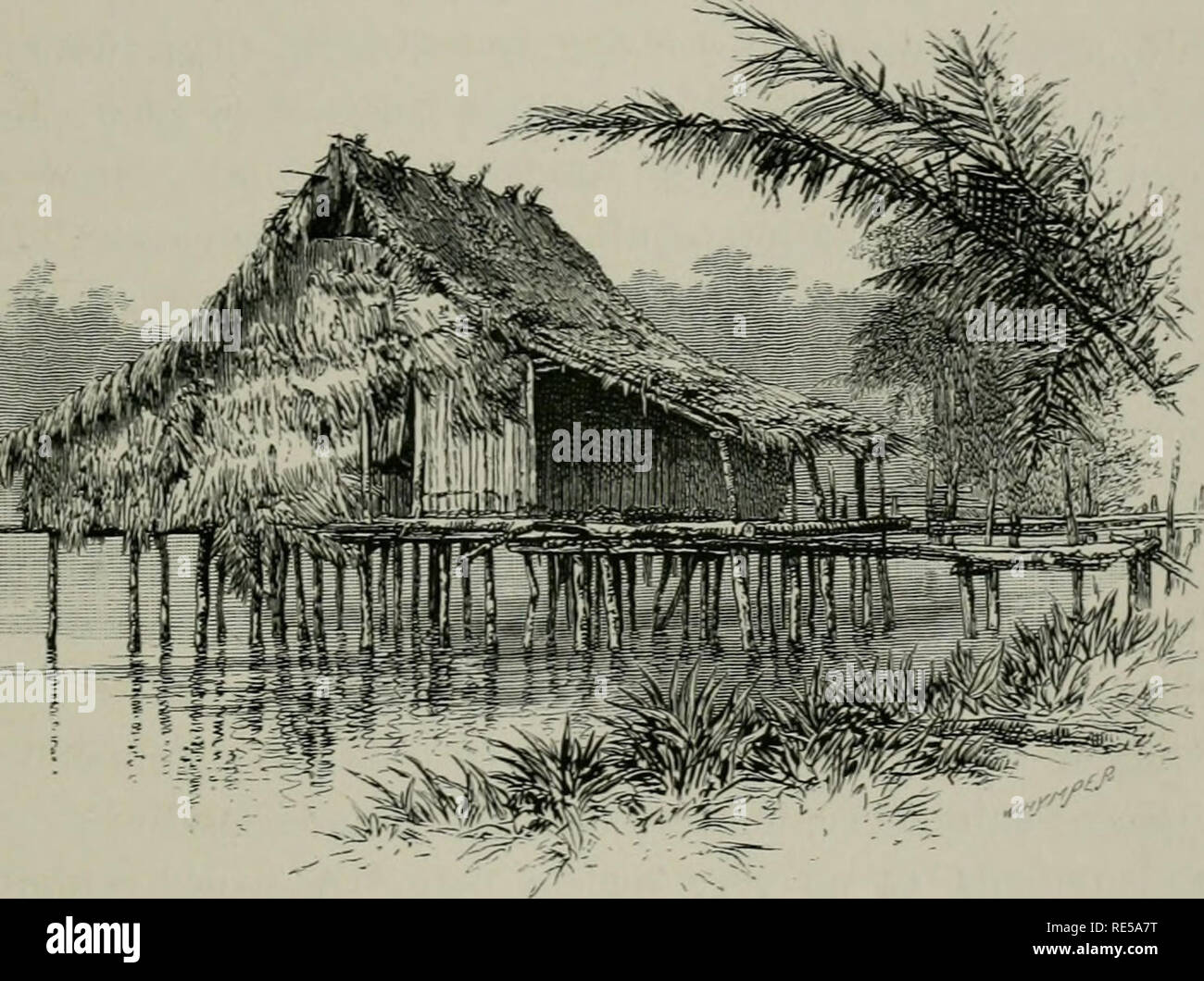 . The cruise of the Marchesa to Kamschatka & New Guinea : with notices ...