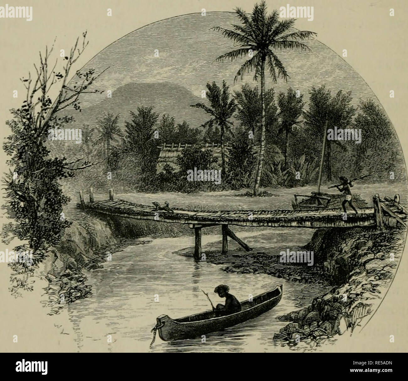 . The cruise of the Marchesa to Kamschatka & New Guinea : with notices ...