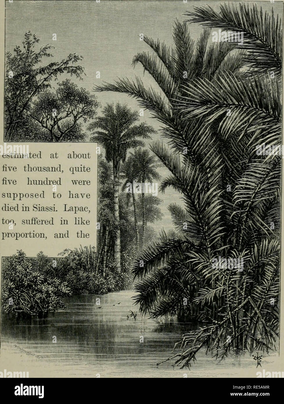 . The cruise of the Marchesa to Kamschatka & New Guinea : with notices ...