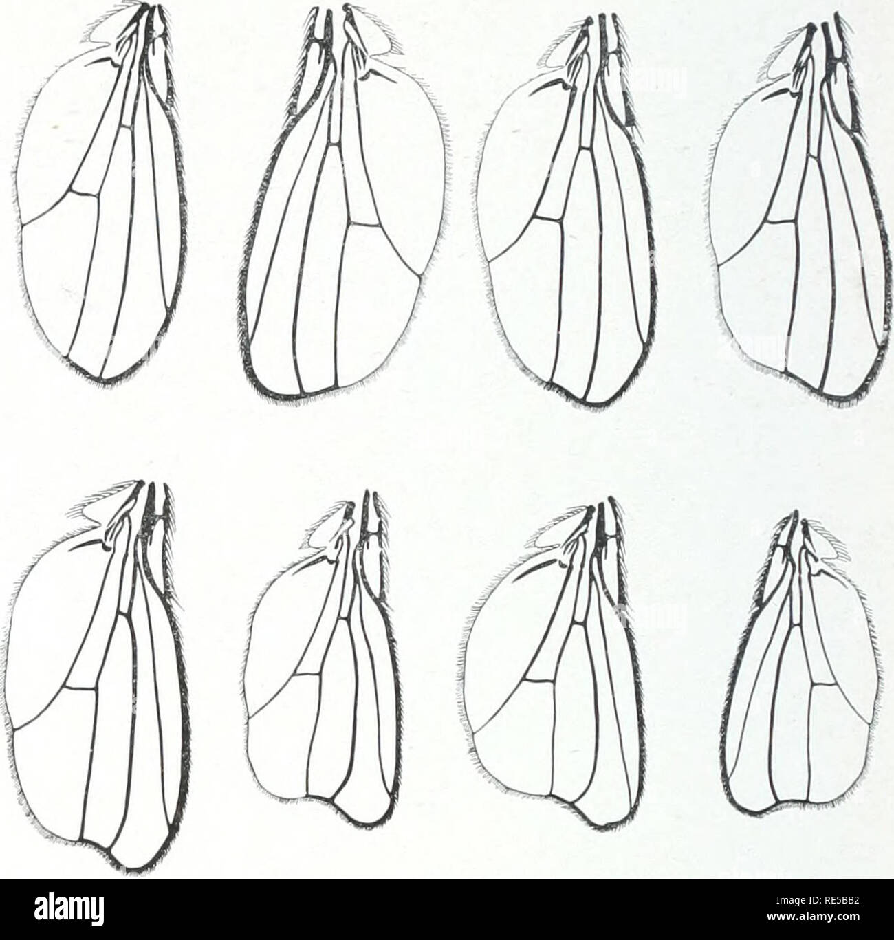 S3 d image hi-res stock photography and images - Alamy