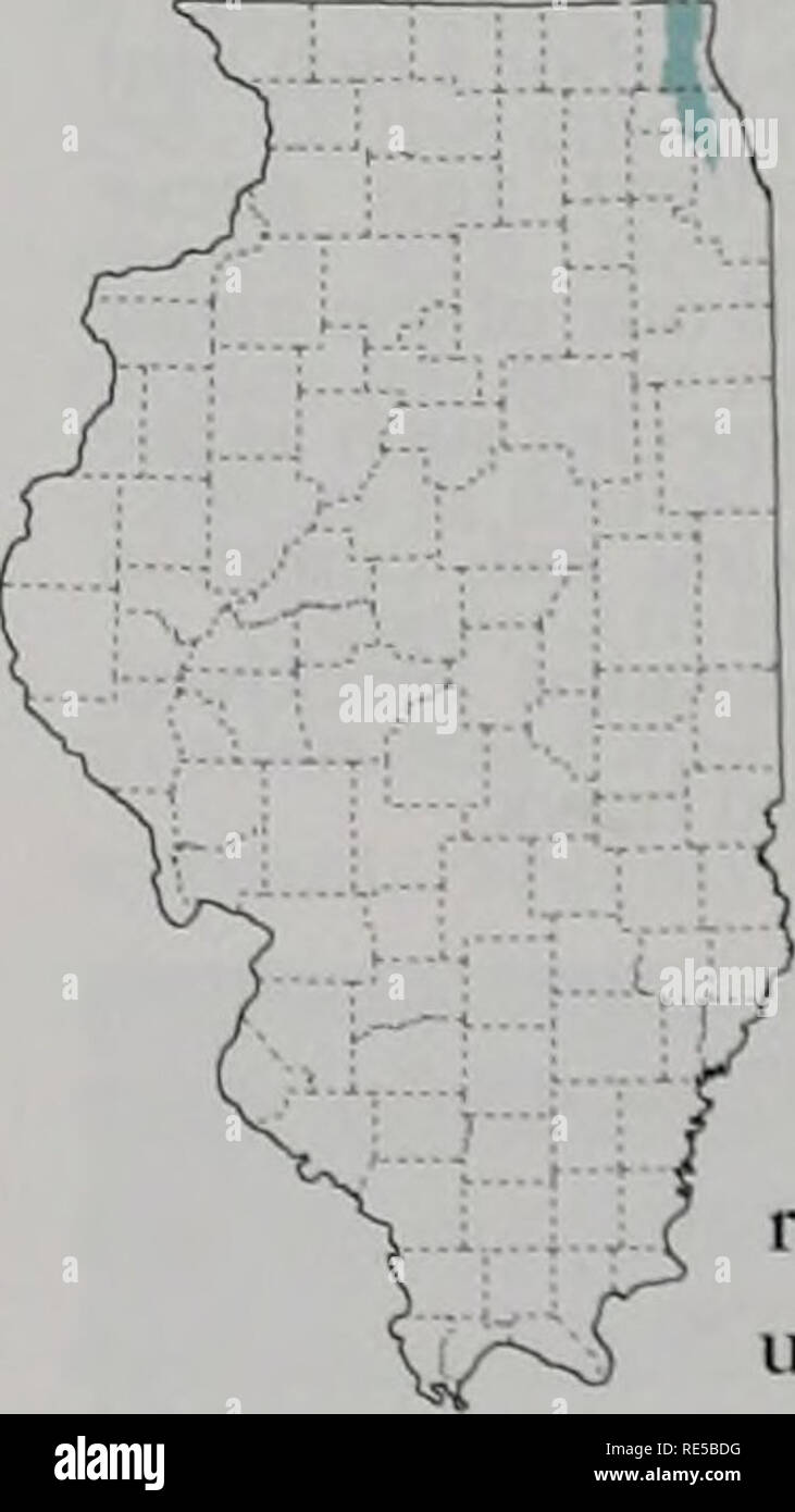 . Critical trends in Illinois ecosystems. Ecological assessment ...