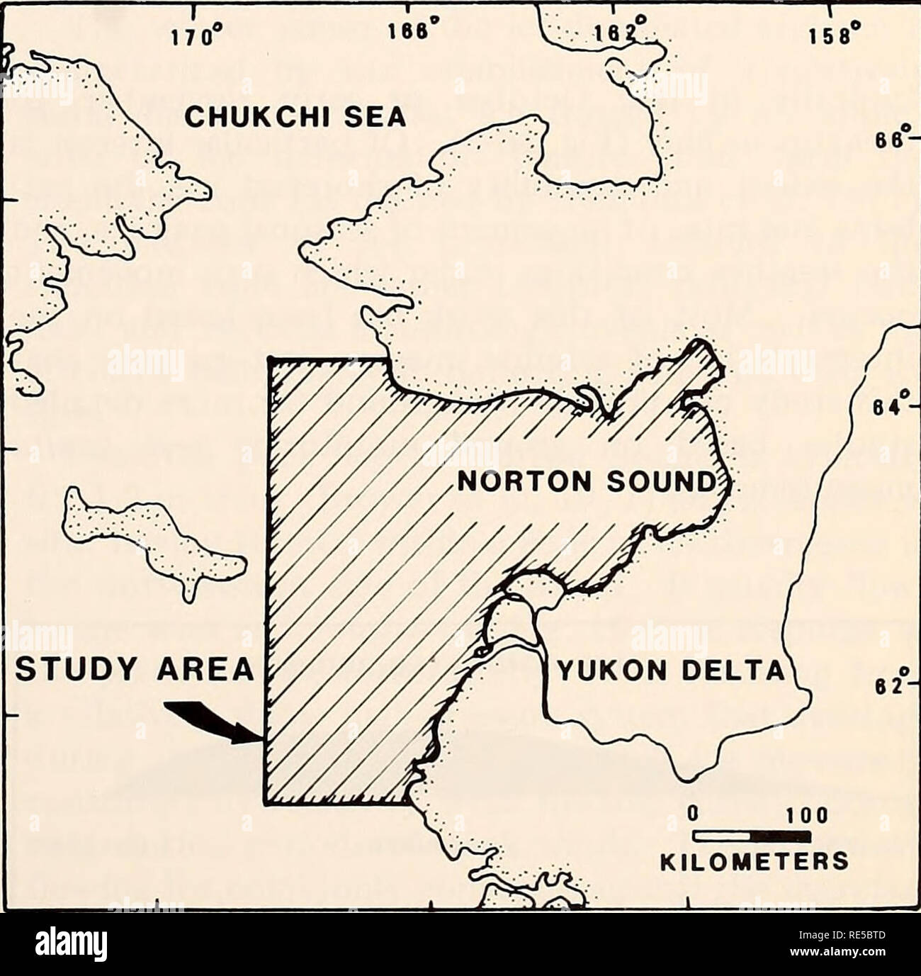 . The Eastern Bering Sea Shelf : oceanography and resources / edited by ...