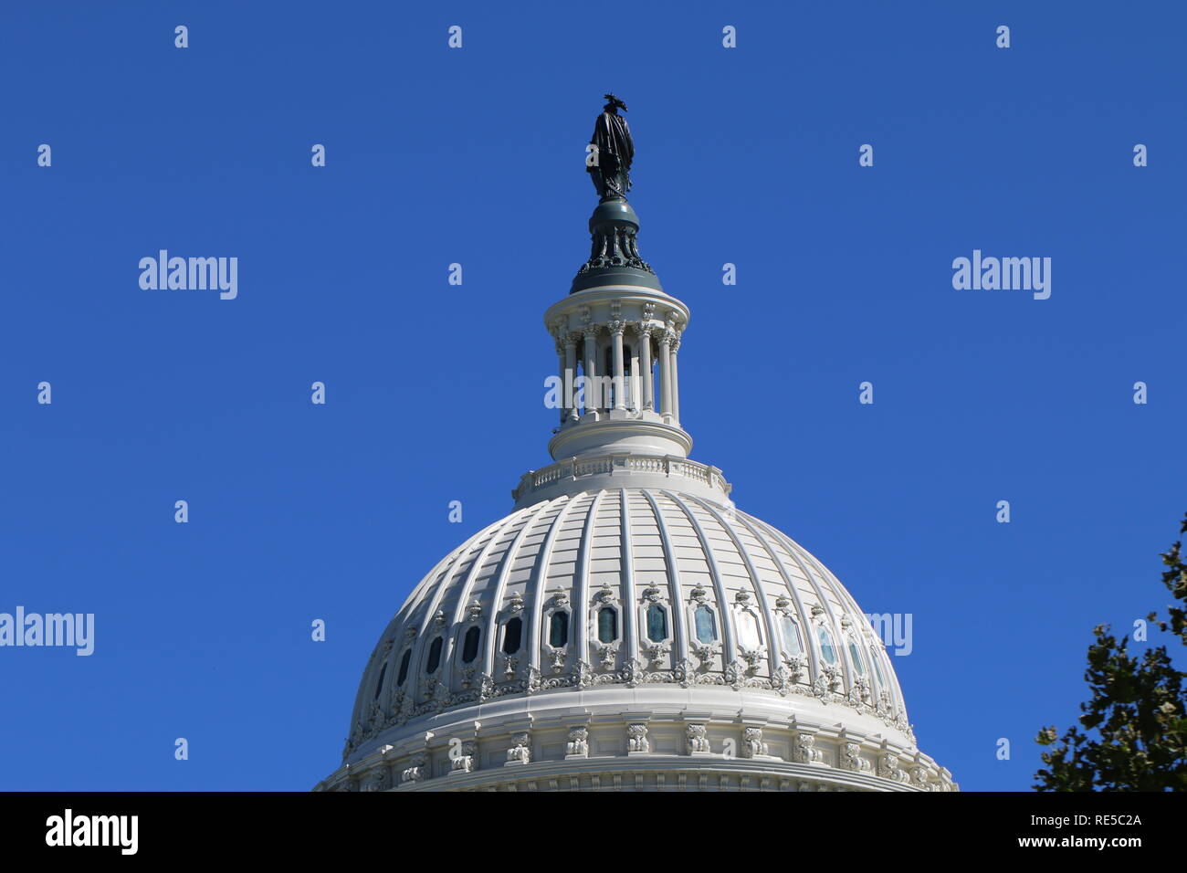 Capital Building Dome Stock Photo - Alamy