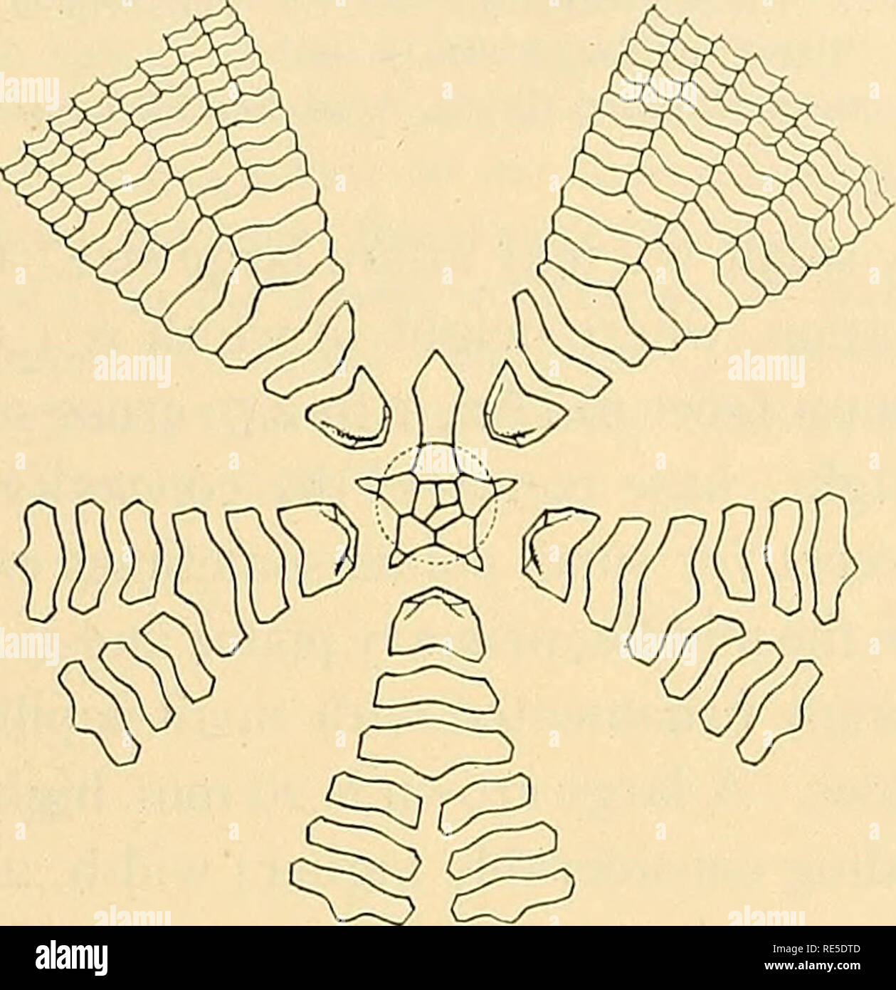 Terlocking hi-res stock photography and images - Alamy