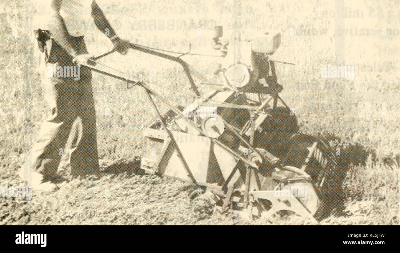 Cranberry harvesting machine hi-res stock photography and images - Alamy