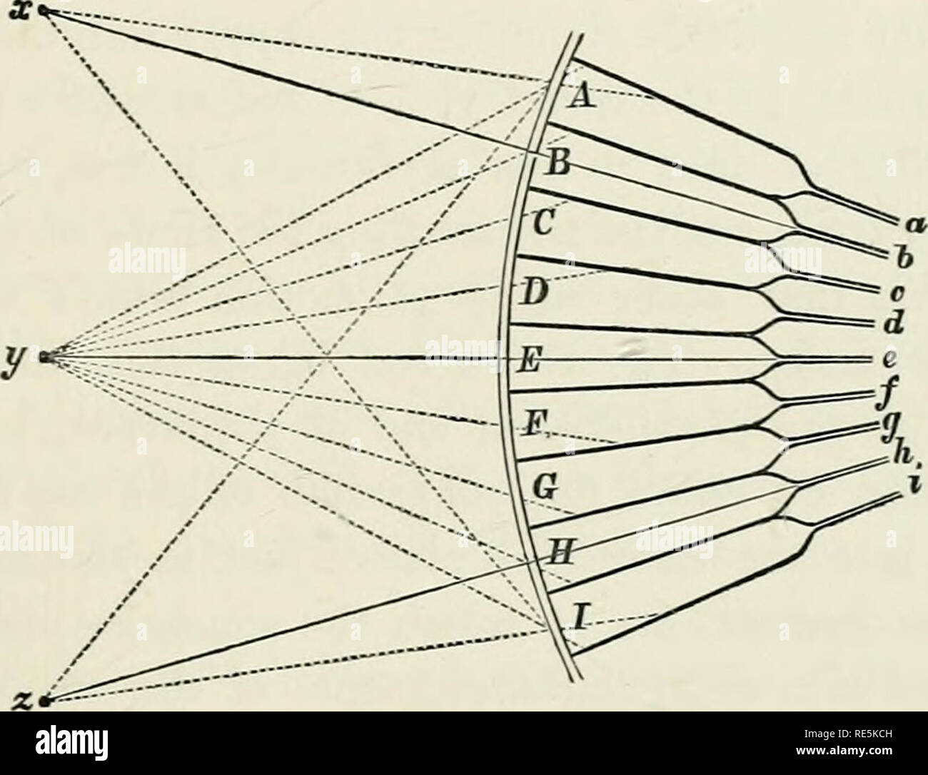 Mosaic theory hi-res stock photography and images - Alamy