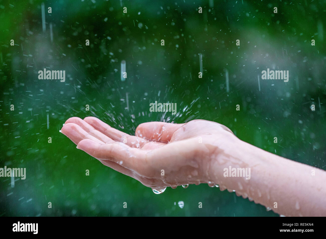 Water pouring in female hands hi-res stock photography and images - Alamy