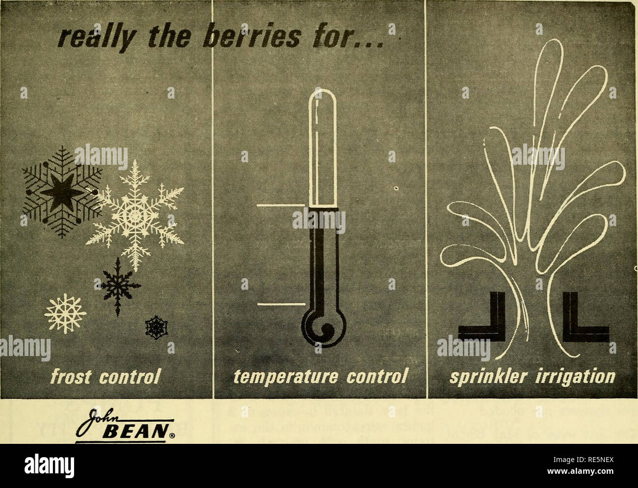 Solid set irrigation hi-res stock photography and images - Alamy