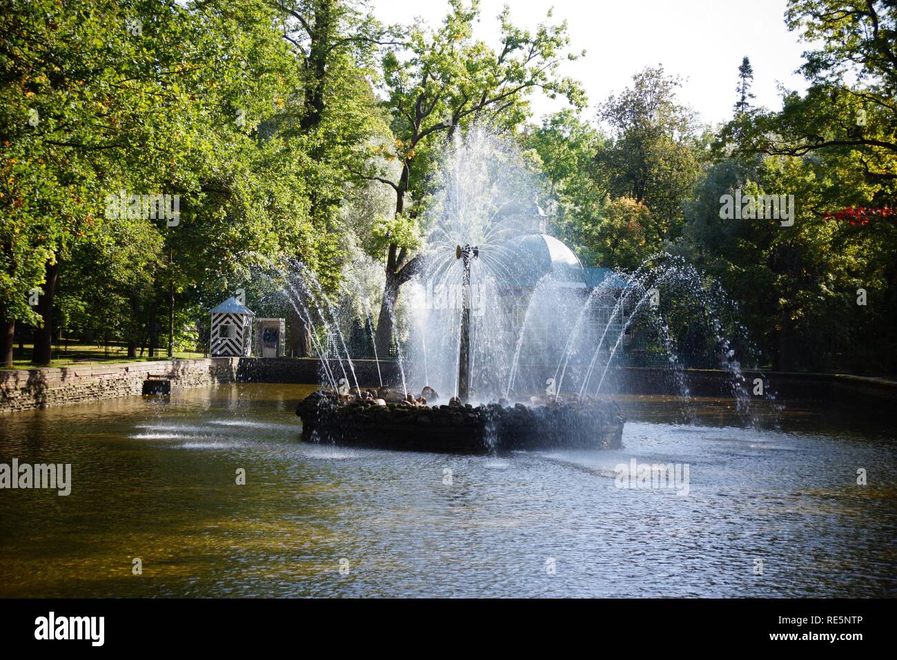 Fountains at Peterhof Palace St Petersburg Stock Photo - Alamy