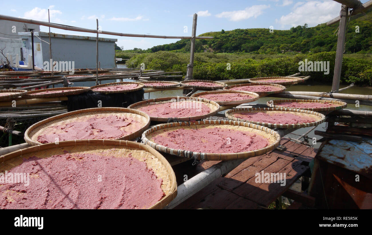 Shrimp paste being dried under the sun in Tai O Stock Photo - Alamy