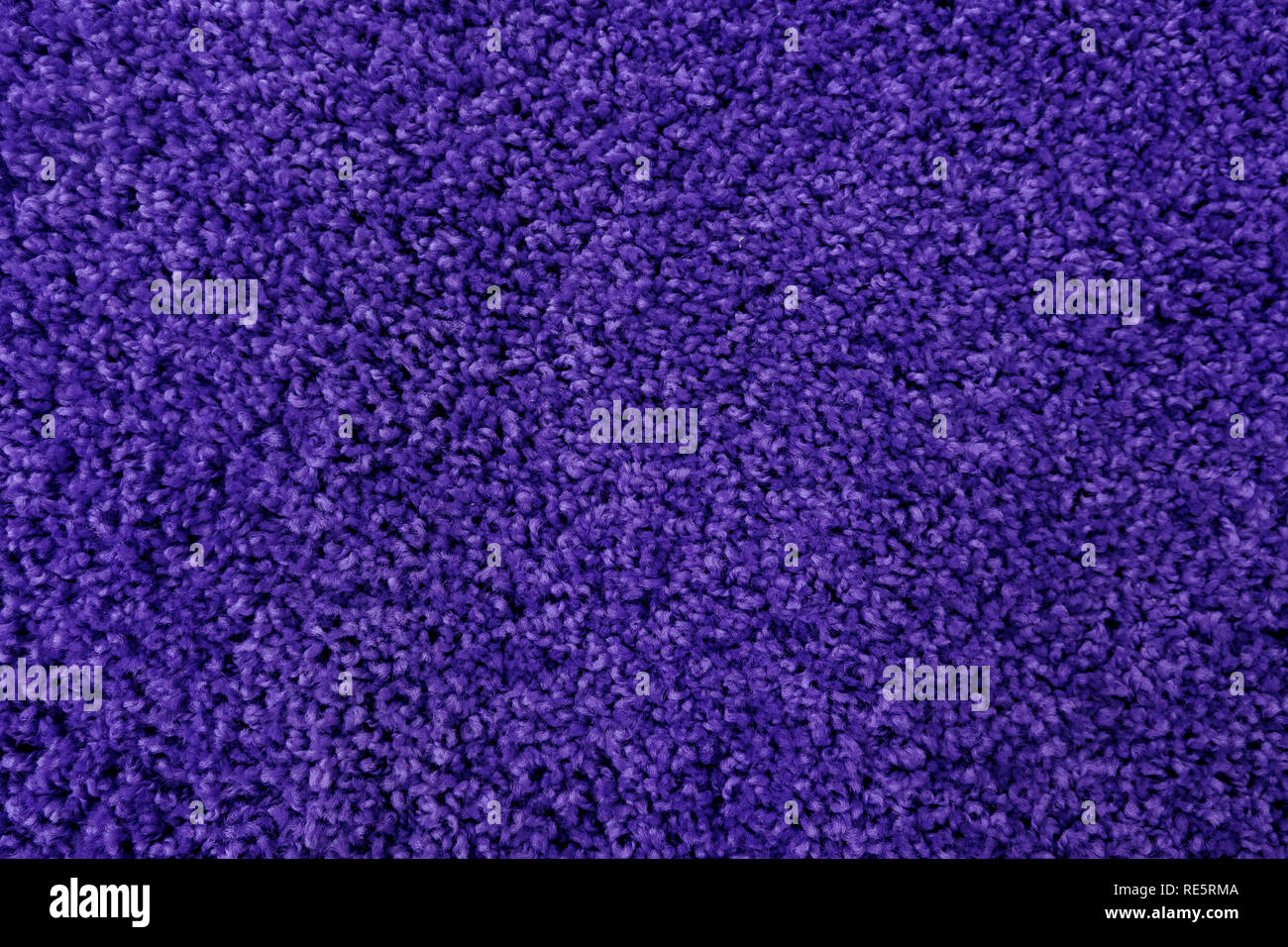 Ultra violet or purple carpet texture backdrop Stock Photo - Alamy