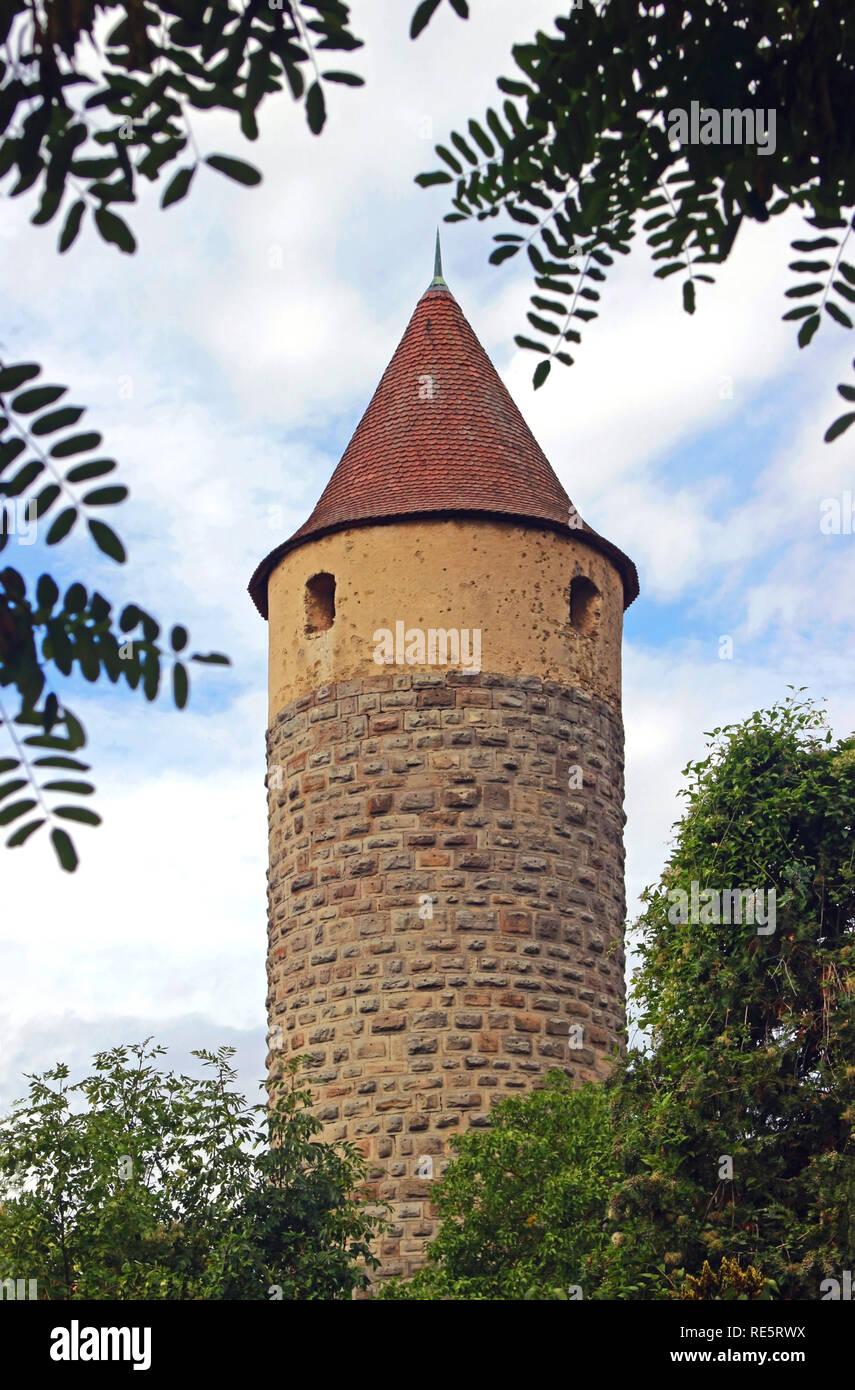 Owl tower hi-res stock photography and images - Alamy