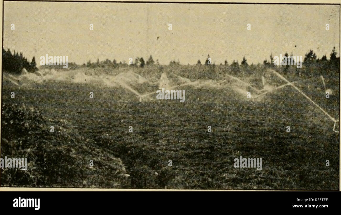 Cyanide Tanks High Resolution Stock Photography and Images - Alamy