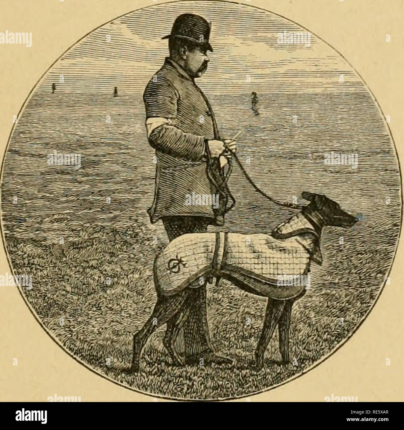 Gerald lascelles hi-res stock photography and images - Alamy