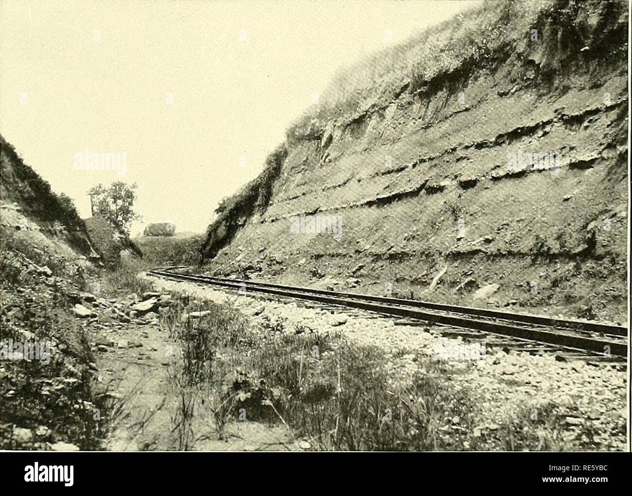 Ripley formation hi-res stock photography and images - Alamy