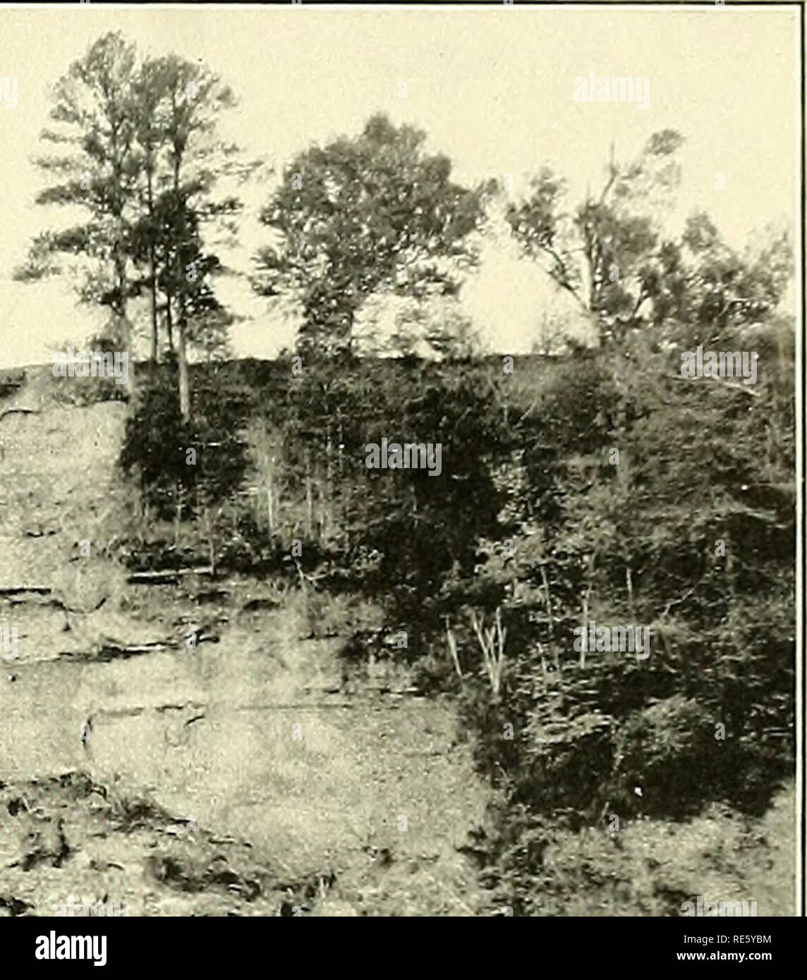 Ripley formation hi-res stock photography and images - Alamy