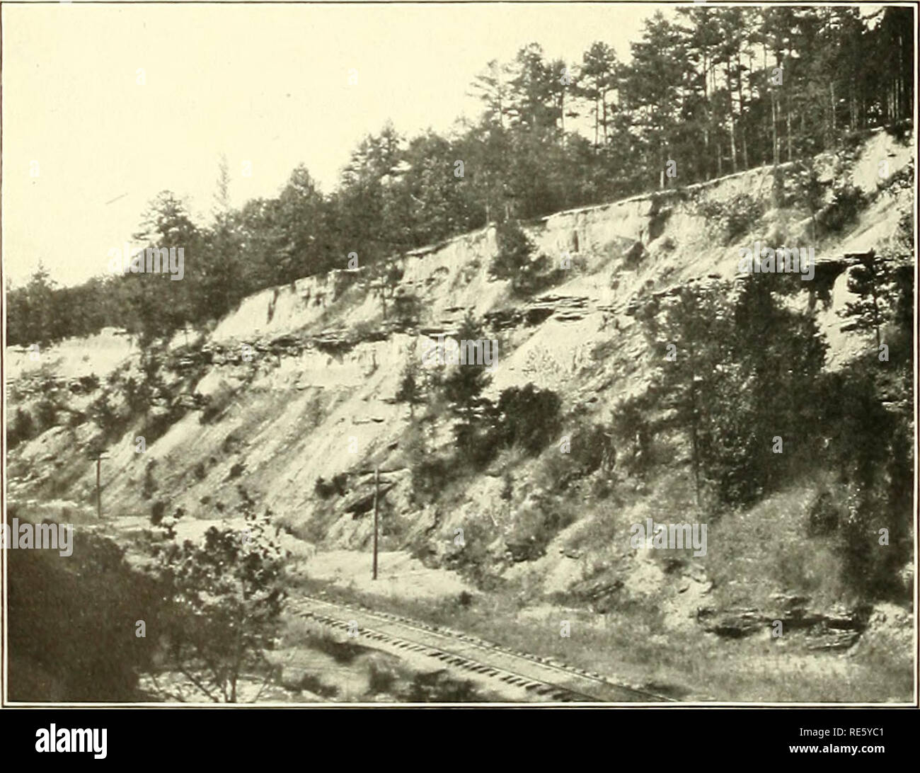 Ripley formation hi-res stock photography and images - Alamy