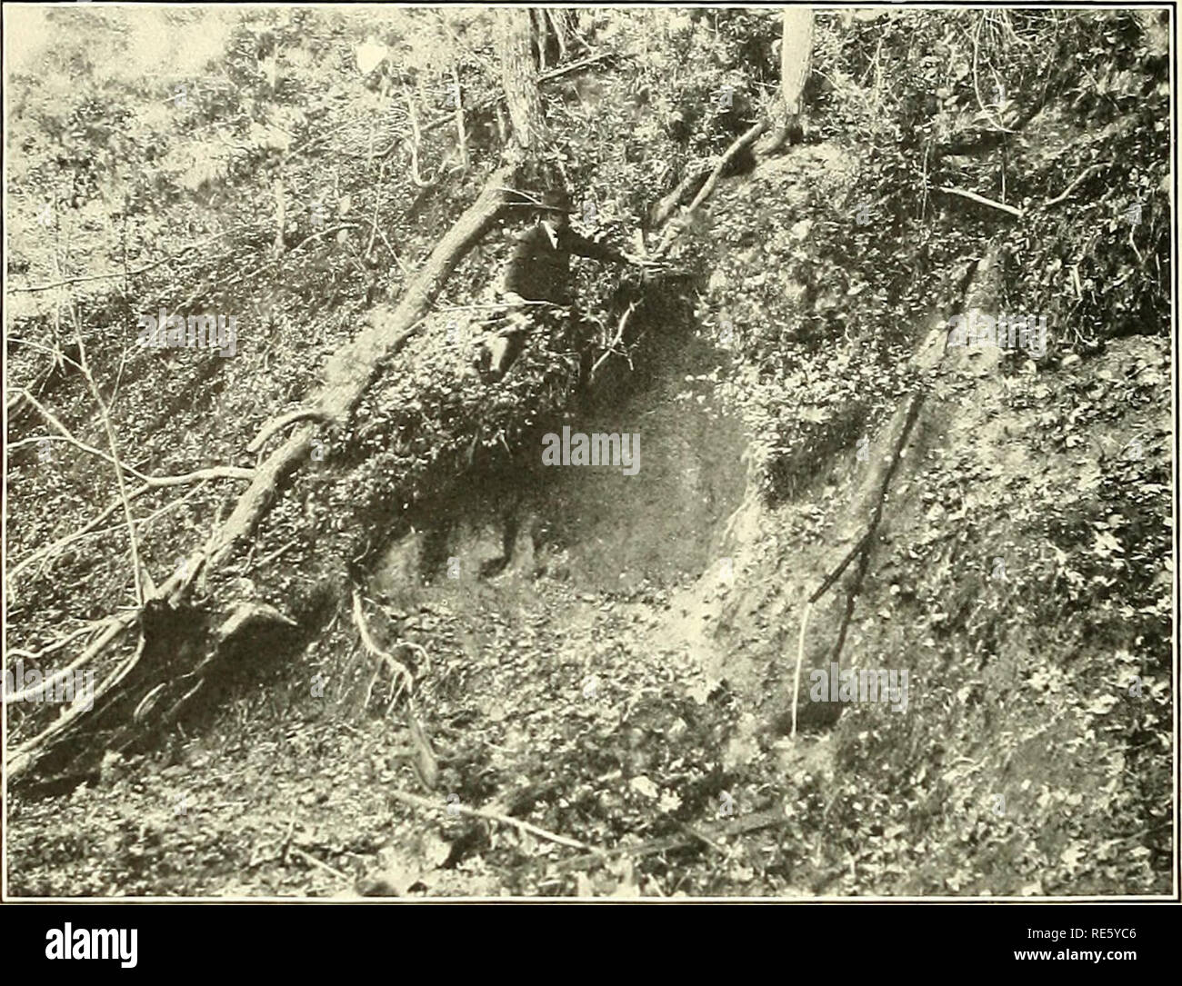 Ripley formation hi-res stock photography and images - Alamy