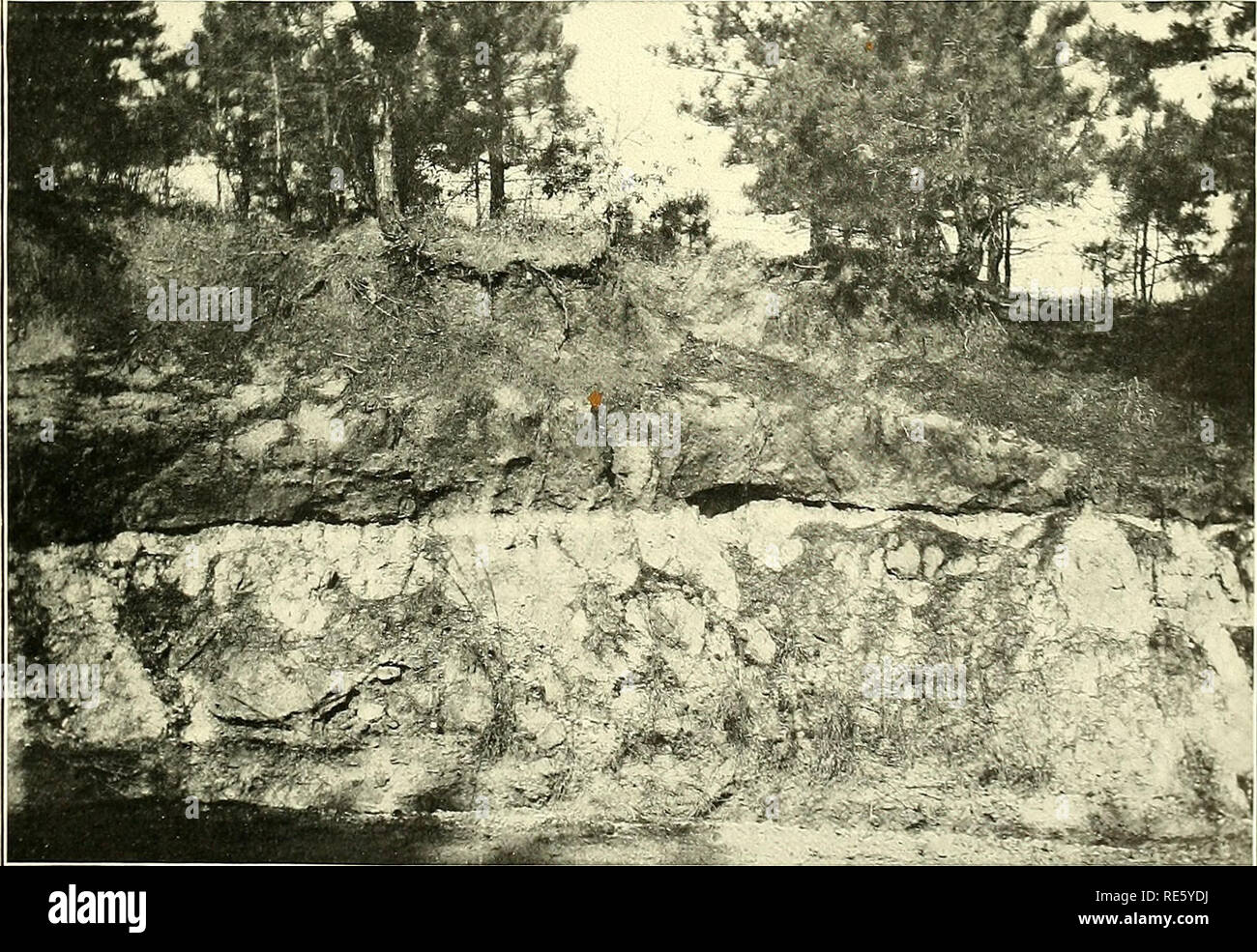 Seale and sands hi-res stock photography and images - Alamy