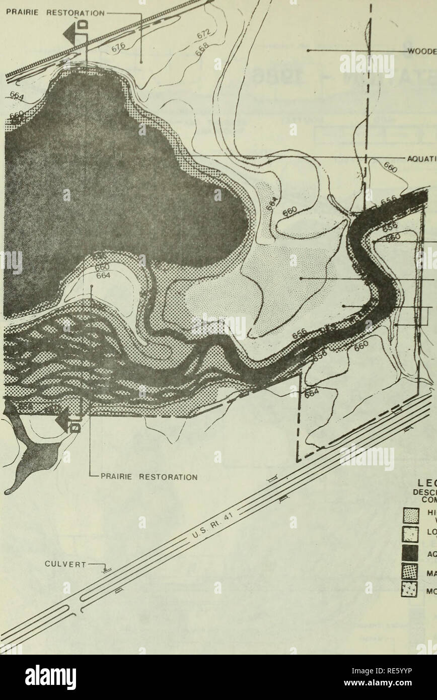 Paludal plant hi-res stock photography and images - Alamy