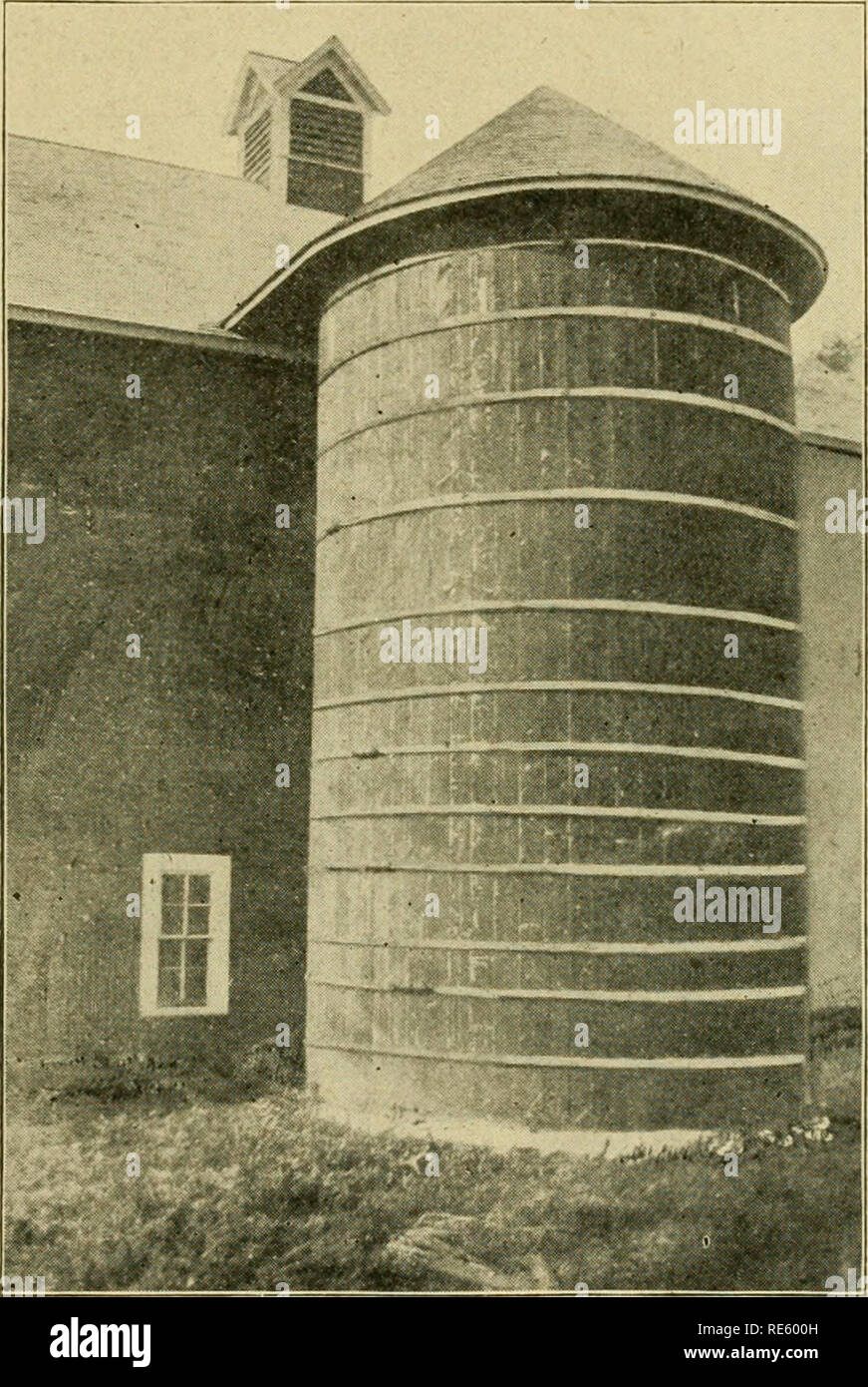 . The creamery patron's handbook. Dairying. BUILDING SILOS AN'I) MAKING ...