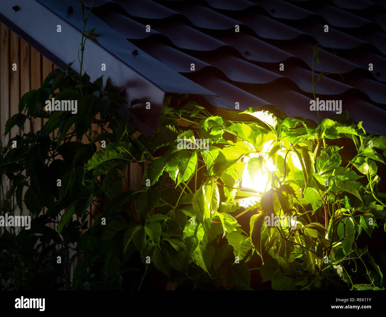 Modern front yard lighting hi-res stock photography and images - Alamy