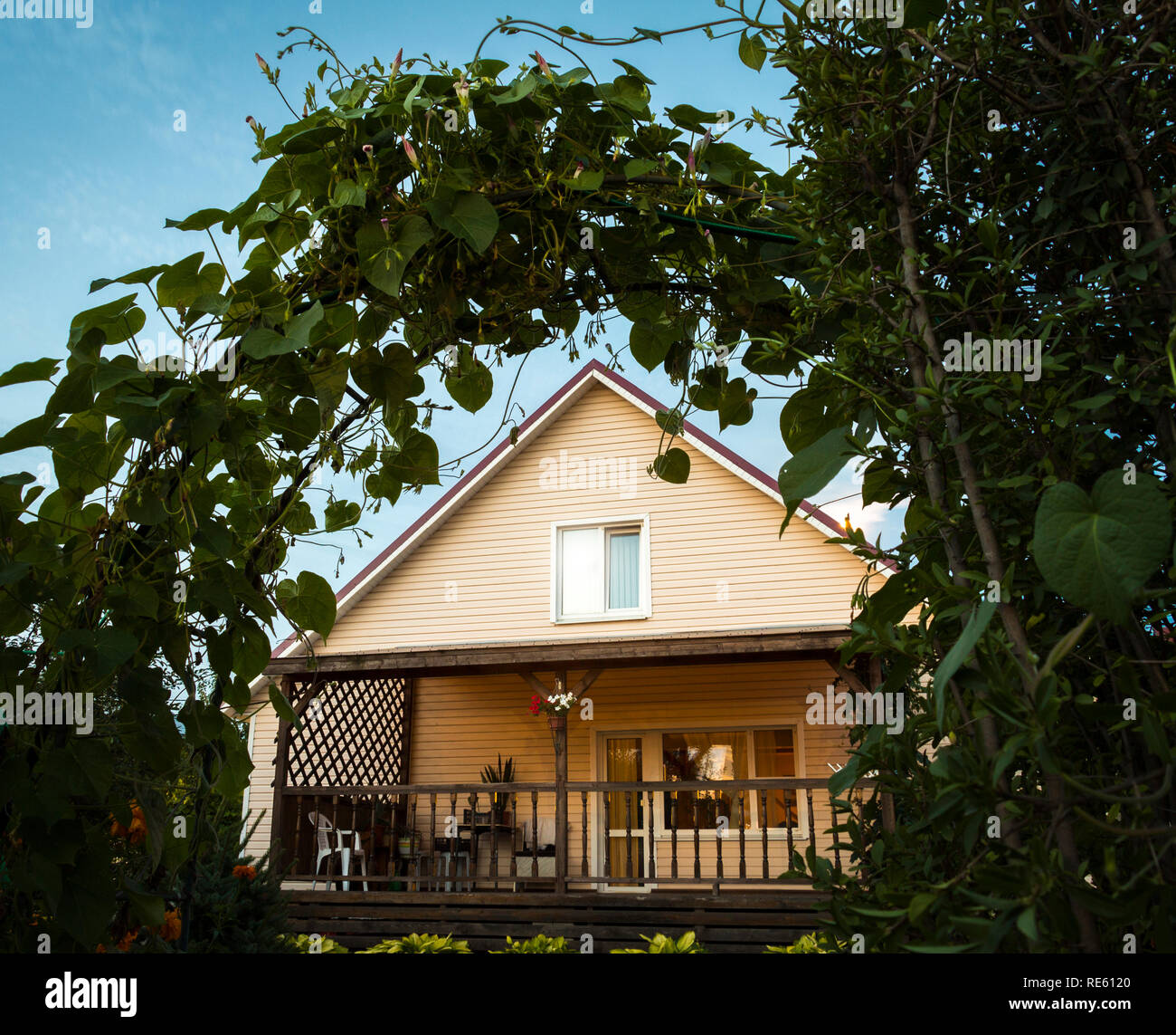 Desirable garden tree hi-res stock photography and images - Alamy