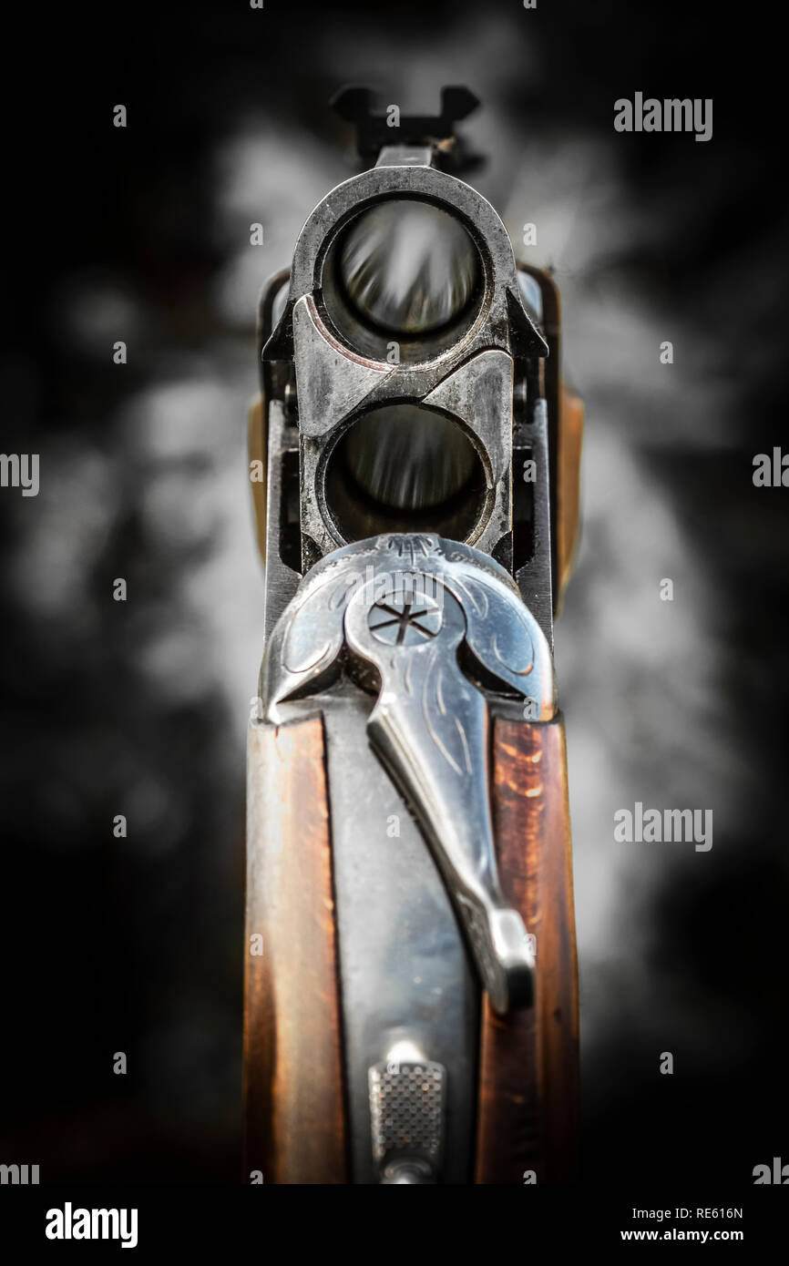 Empty vertical trunks of a hunting rifle close-up Stock Photo - Alamy